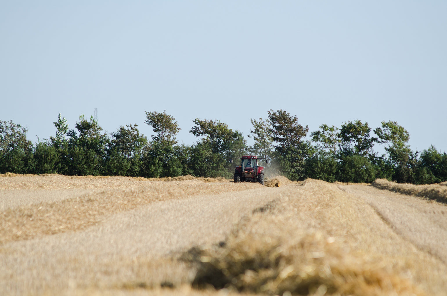 Straw as roughage – professional considerations and feeding plan model ...