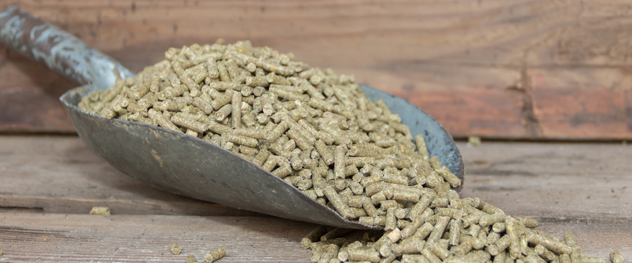 Feed terms - what is what? – Regulator Complete ApS