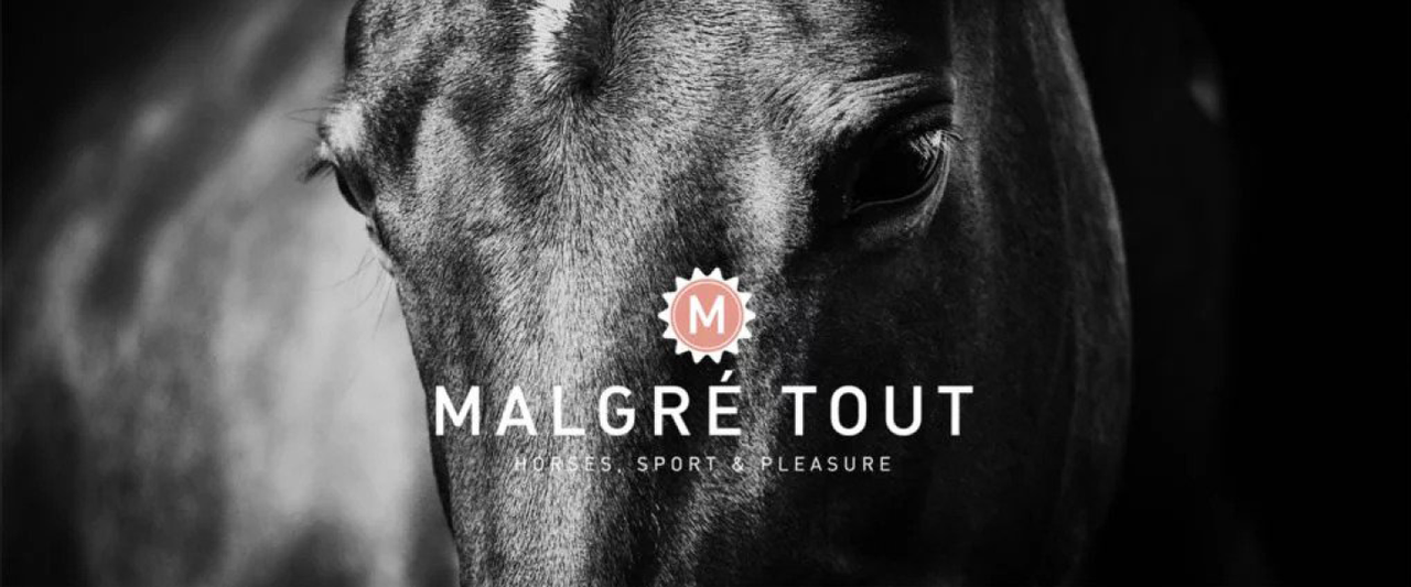 Hvem er Ingeborg? – Regulator Complete ApS