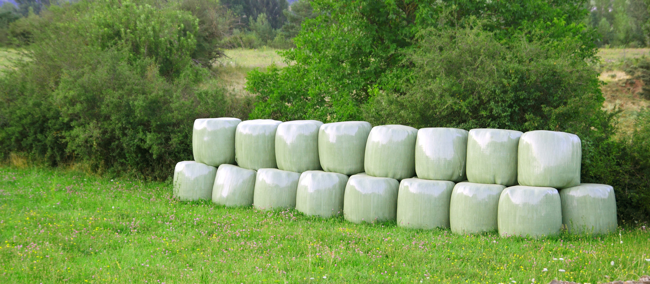 Guide to reading a roughage analysis – Regulator Complete ApS